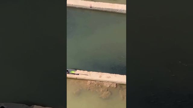 Рыбак от Бога 🤣🤣