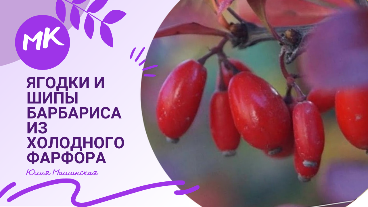 Мк Ягодки и иголочки Барбариса из холодного фарфора.