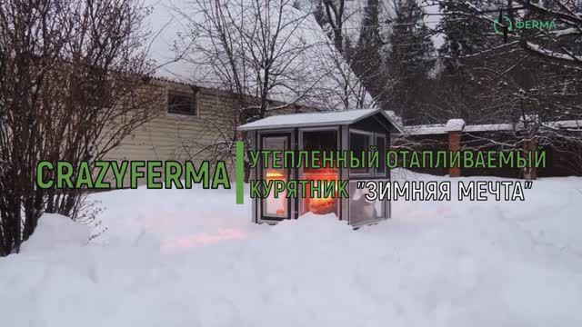 👍🥚Курочки бесперебойно несутся круглый год благодаря Курятнику _ЗИМНЯЯ МЕЧТА_ на 8-10 кур✨ (1)