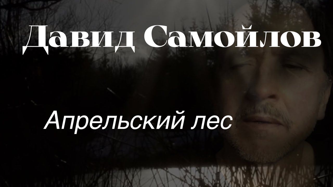 Давид Самойлов.Апрельский лес.