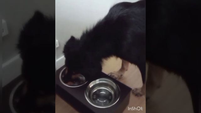 Норд уехал домой