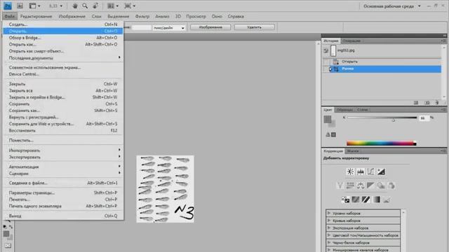 Основы морфометрии описание всего процесса - подробно