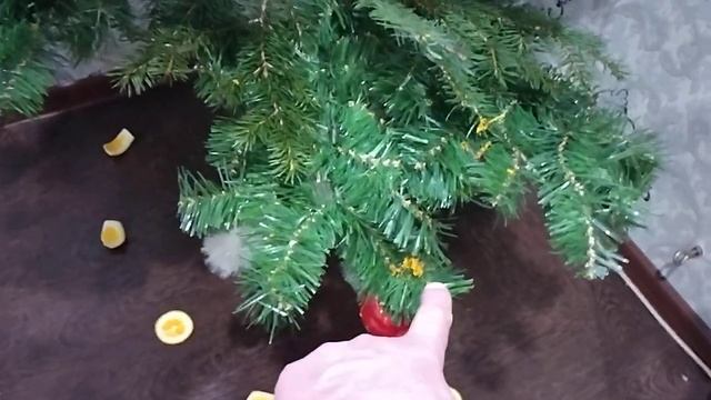 Лабрадор Акира и кот Масиус. Предновогодняя готовка. как сохранить ёлку от кота????