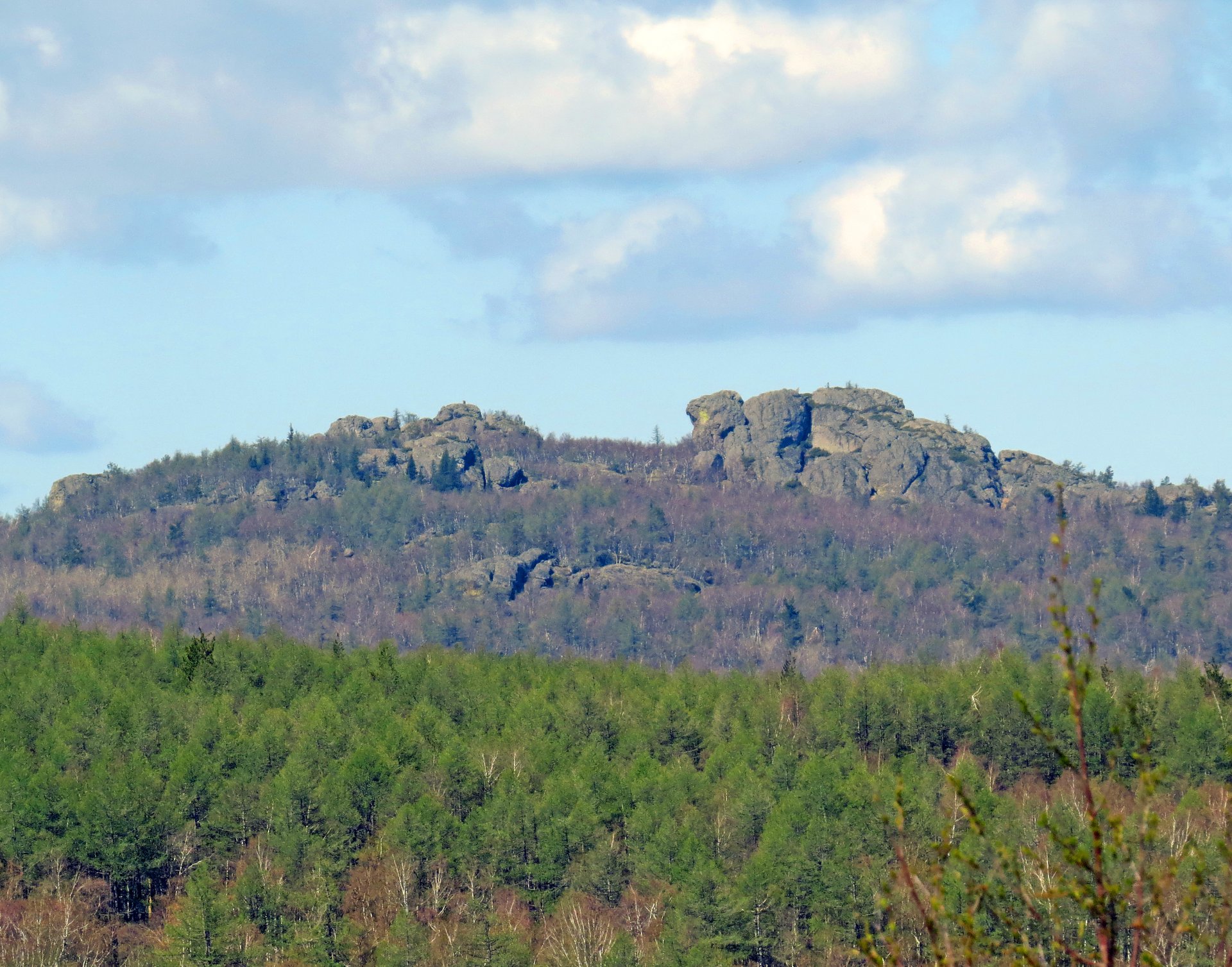 Классификация. 18.05.24г