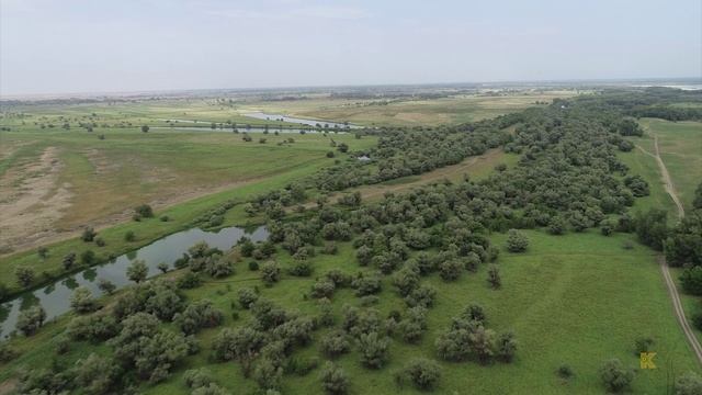 База Волжская. Лето.