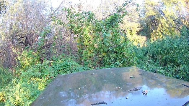 Дорога по лесу от бугра до рогов.MOV