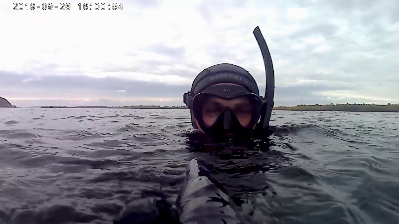 Дневная разминка