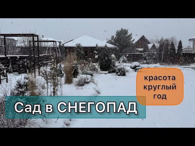 Загляните в гости. Мой сад за 5 минут. Растения с названиями Дневник садовода Архив