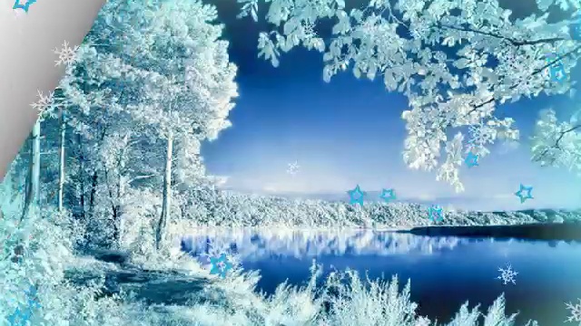 Песня "Снежные звёзды" в исполнении Евгения Никитина