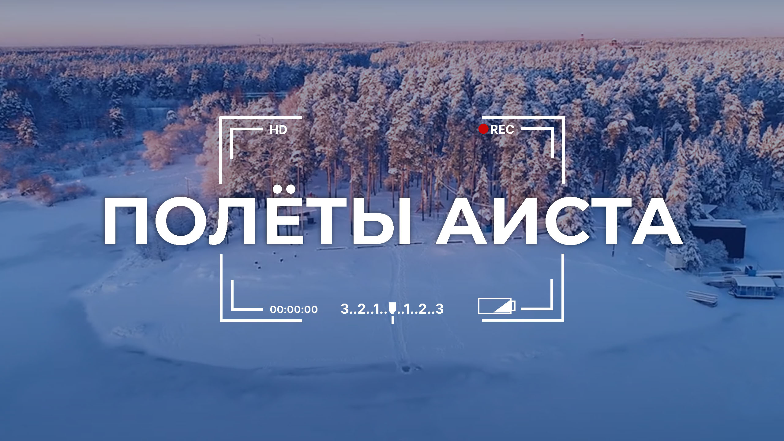 Полеты аиста. Зима в Орехово-Зуеве