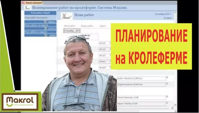 #3 Учет и планирование работ на кролеферме. Макрол Кей-Тайм. #МакляК #МАКРОЛ.mp4