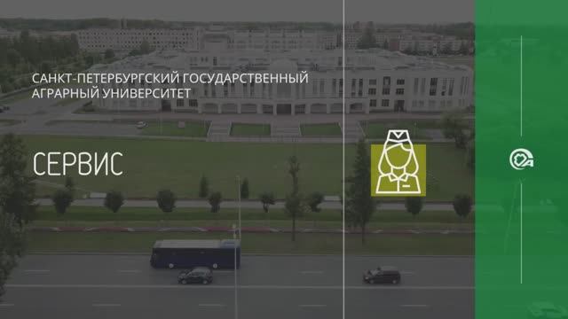 Направление подготовки Сервис