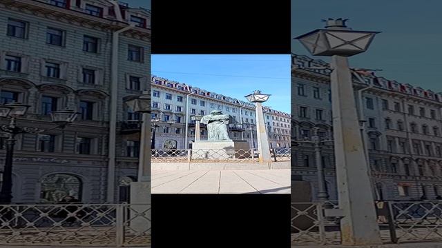 Кафе Зингер  Книжный магазин Спб Питер