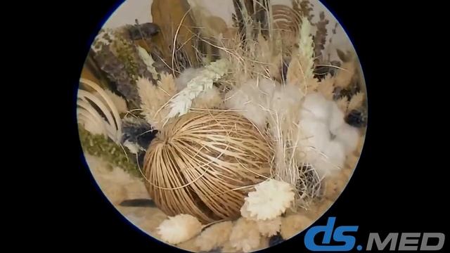 DS.Vision FHD 3in1 - краткий обзор на эндоскопическую систему | DS.Med