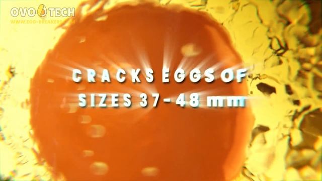 Машина для разбивания яиц RZ-1 Ovo Tech