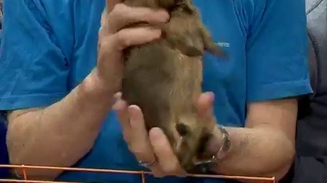 Ярославские библиотеки приняли участие во Всероссийской акции «Библионочь»