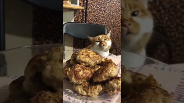 Сила есть, воля есть. Силы воли нет.