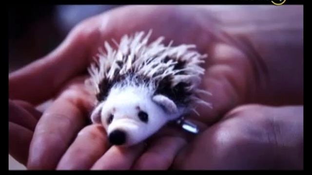 «Своими руками». Валяние шерстью