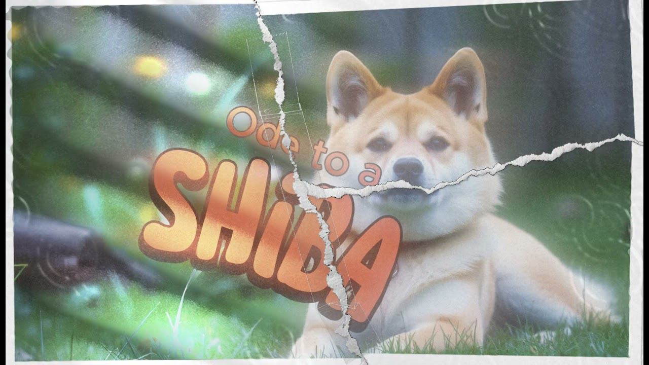 TWISTERiON - Ode to a Shiba