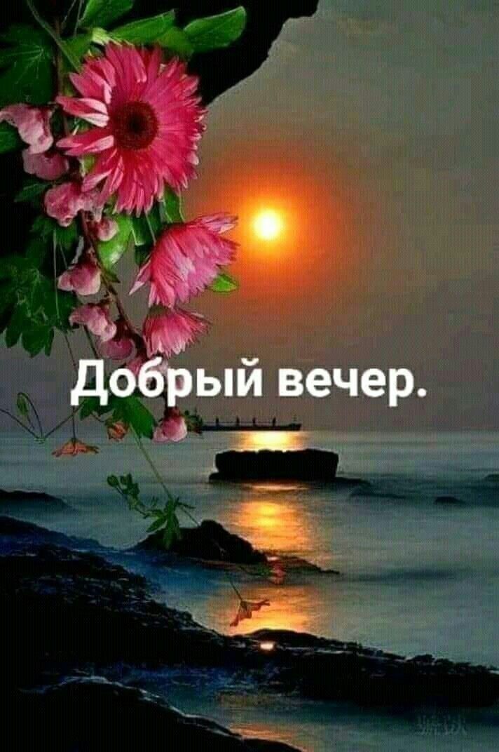 Добрый вечер! Желаю доброго вечера!