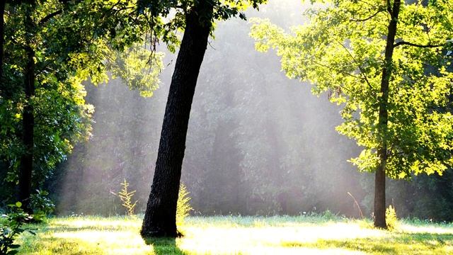 Успокаивающая музыка для души....