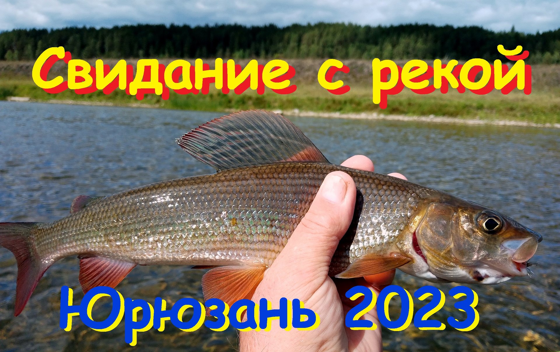 Свидание с рекой, Юрюзань август 2023, нахлыст