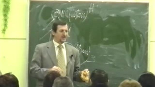 Обычные, фантомные и основопологающие чувства человека. Лекция В.М.Бронникова