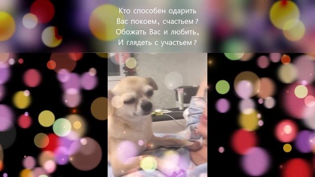 #Смайлик   #любимый #Чихуахуа #Собаки
Откуда родом чихуахуа? Узнай здесь.