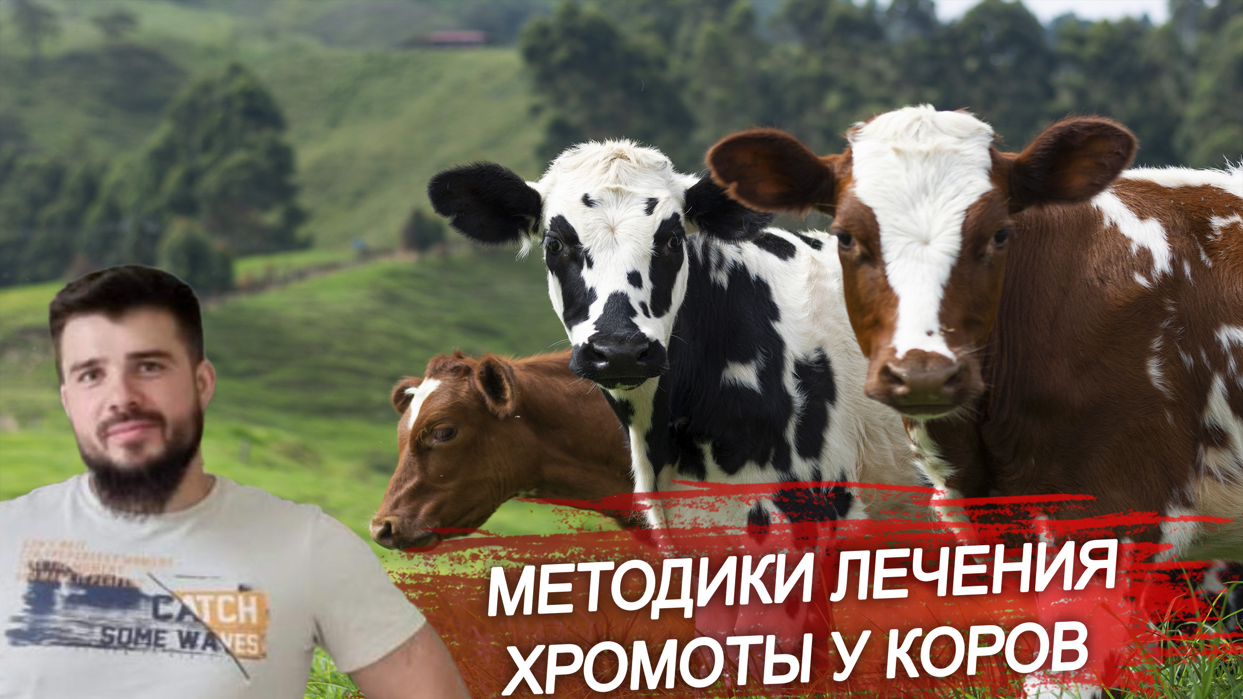 Как лечить хромоту у коров? Павел Стог о форуме в Сочи. Анонс форума