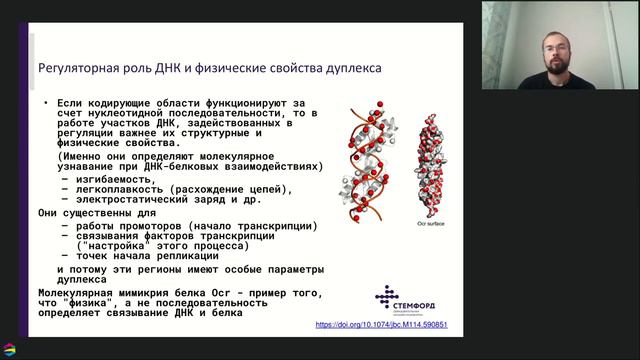 ДНК в действии многофункциональная биомолекула