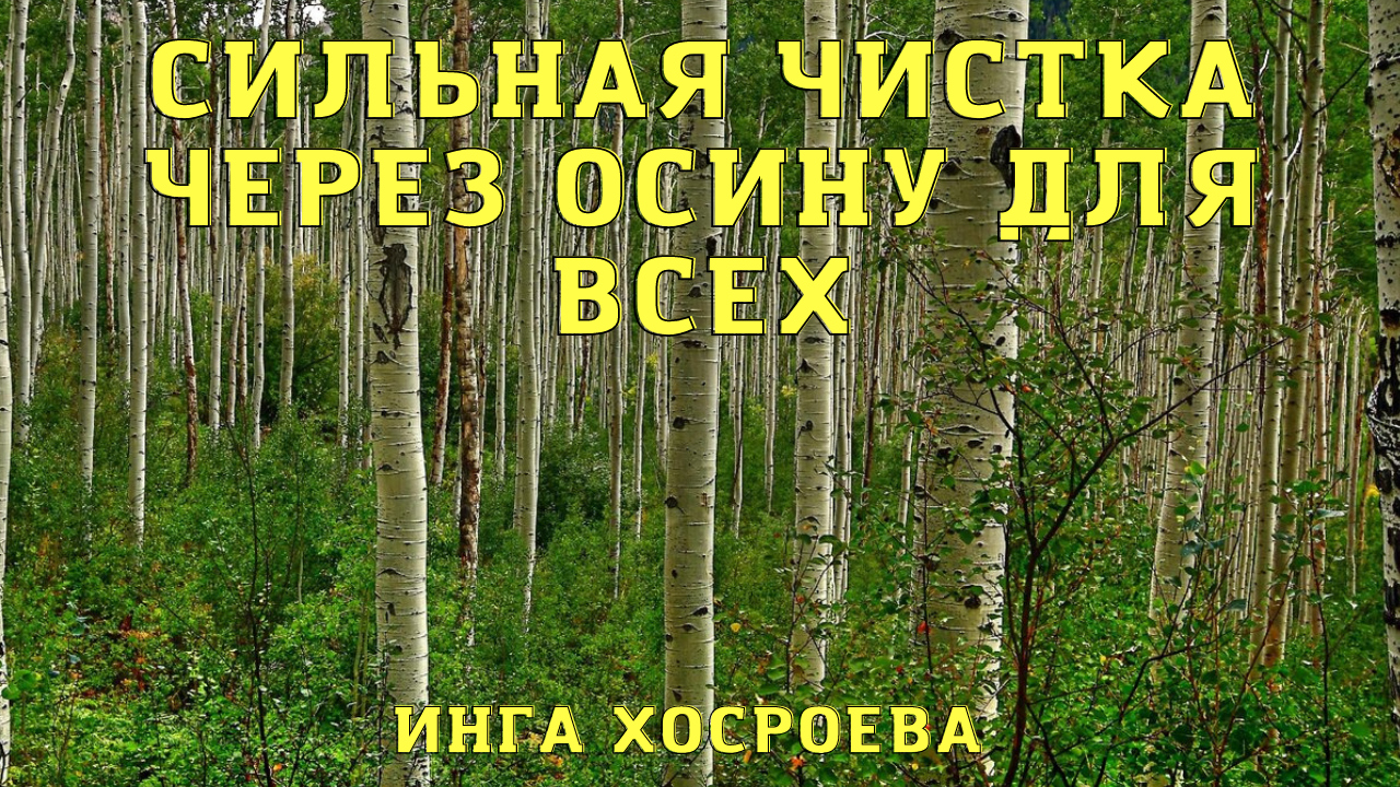 СИЛЬНАЯ ЧИСТКА ЧЕРЕЗ ОСИНУ. ДЛЯ ВСЕХ. ВЕДЬМИНА ИЗБА ▶️ ИНГА ХОСРОЕВА.mp4