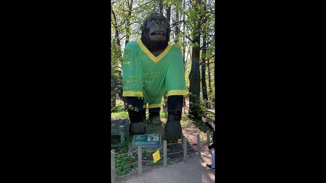 Парк культуры и отдыха имени Бабушкина (Парк сказок), аттракционы и Динопарк Санкт-Петербург. Обзор