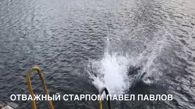 Антарктида. Они не сдохли в проливе Дрейка (Жесть)