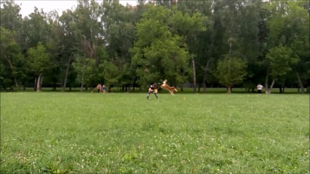 Кубок Клуба Маргарита и Вижн.mp4