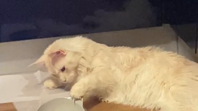 Литтер В. Барклай и миска. Изучаем механику и гидродинамику.