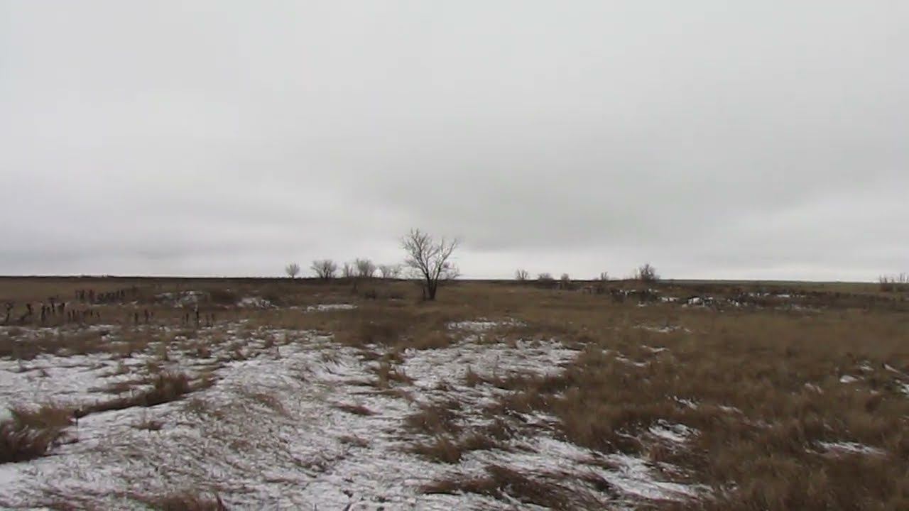 Исчезнувший посёлок Травино, Краснокутский район (2).