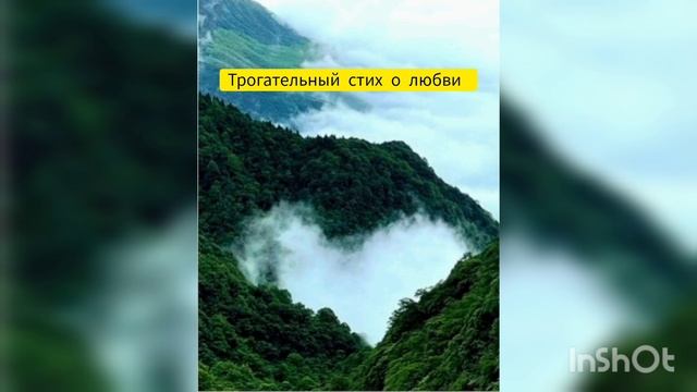 Трогательный стих о любви.