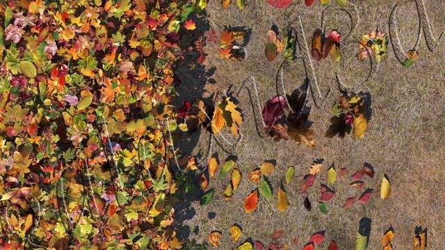 [2017-10-26] "Листья" [3D Max | ThinkingParticles | V-Ray | After Affects]