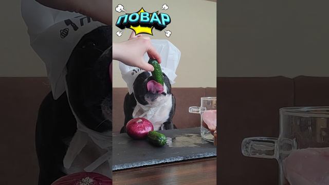 Говяжий калтык! Оценка от стаффи 🍽️ #стаффи #повар #рецепт #собака #кухня #оценки #рейтинг #реакция