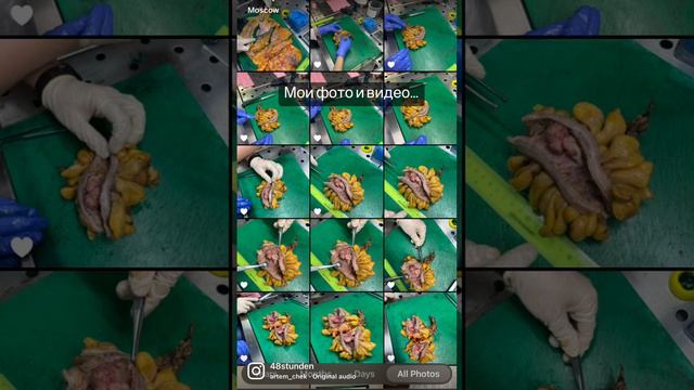 Мошенники 😁