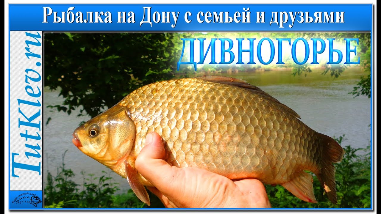 Рыбалка на Дону с Семьей и Друзьями под Дивногорьем.mp4