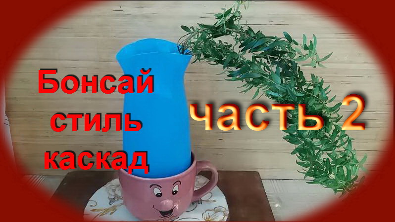 2.Чем не надо поливать Мирт_част 2.mp4