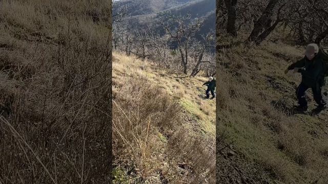 Наше 31 декабря 2023 года. Прогулка в Алуште на водопад «Гейзер» и каменным грибам. #крым #алушта