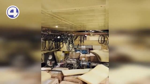 Екатеринбургская грузовая авиакомпания перевезла более 300 кошек и собак из Афганистана в Канаду