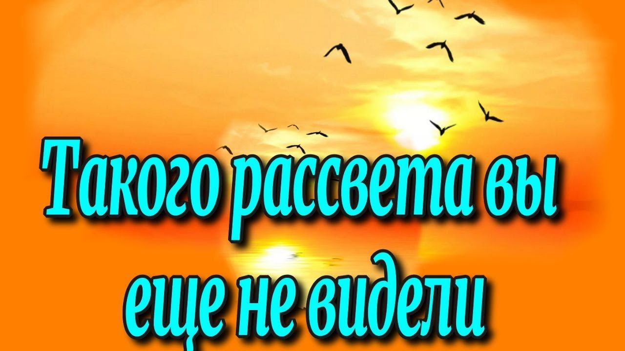 Такого рассвета вы еще не видели!♻️[Olga Pak]