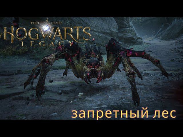 Запретный лес ⏩ Hogwarts legacy | наследие ⏩ № 5