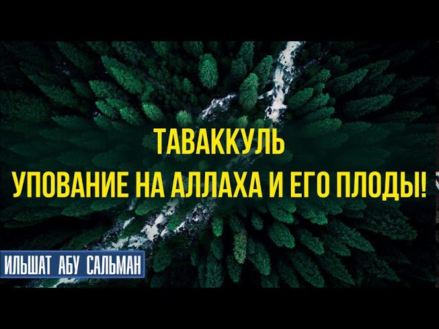 Таваккуль -упование на Аллаха и его плоды!
