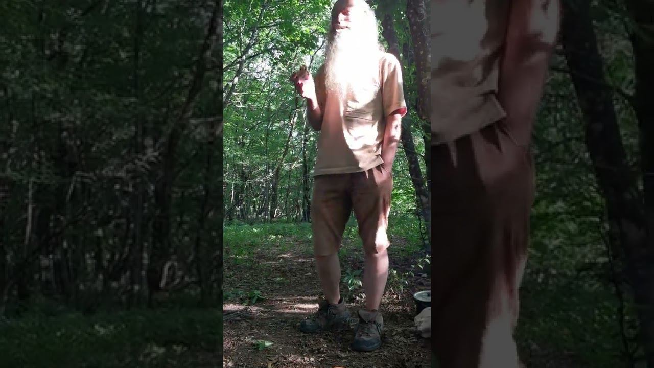 ЛАД  Сказ  Великий переход  Творчество распирает