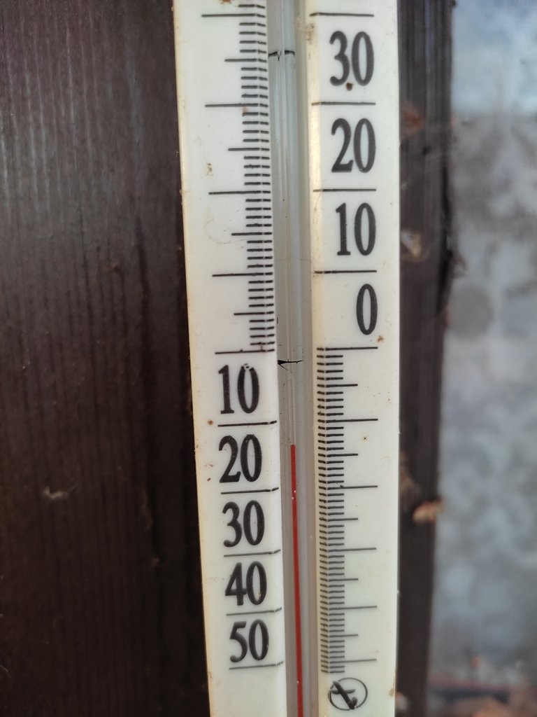 Бедные пчелки_ Мороз минус 17 градусов, хотя пару дней назад было лето +10.mp4