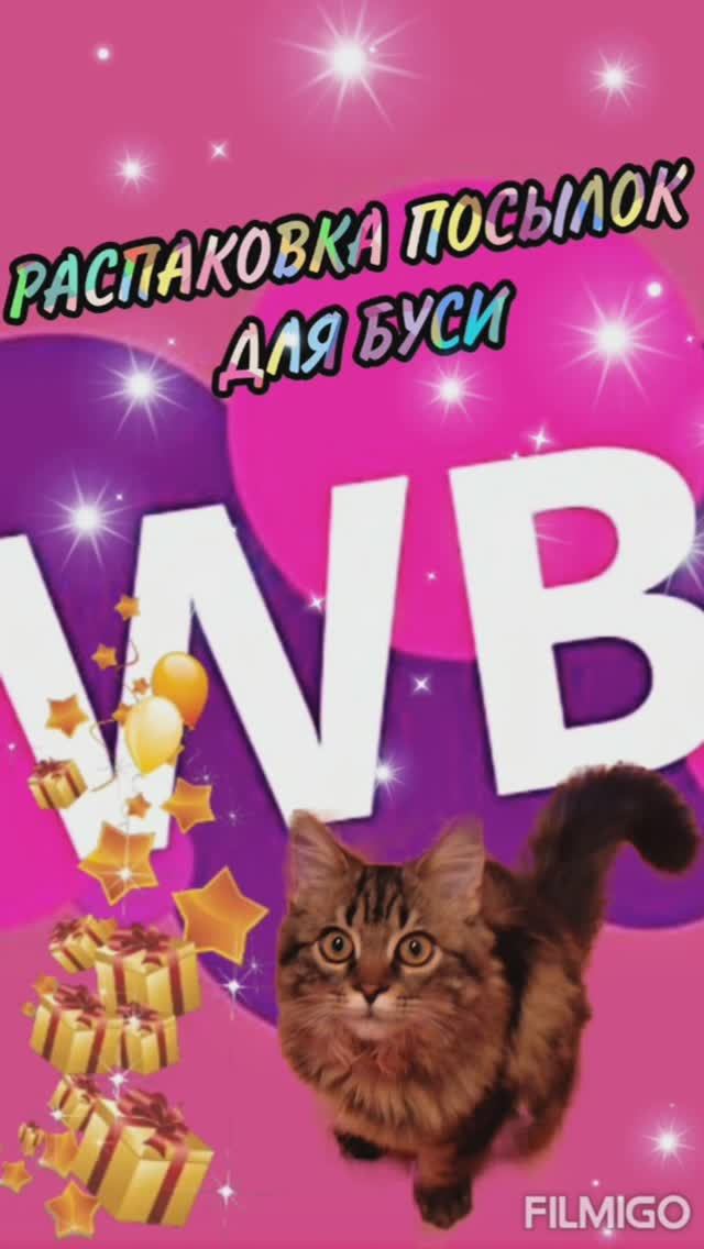 Распаковка посылок для Буси с Wildberries. Двойная миска с автопоилкой.